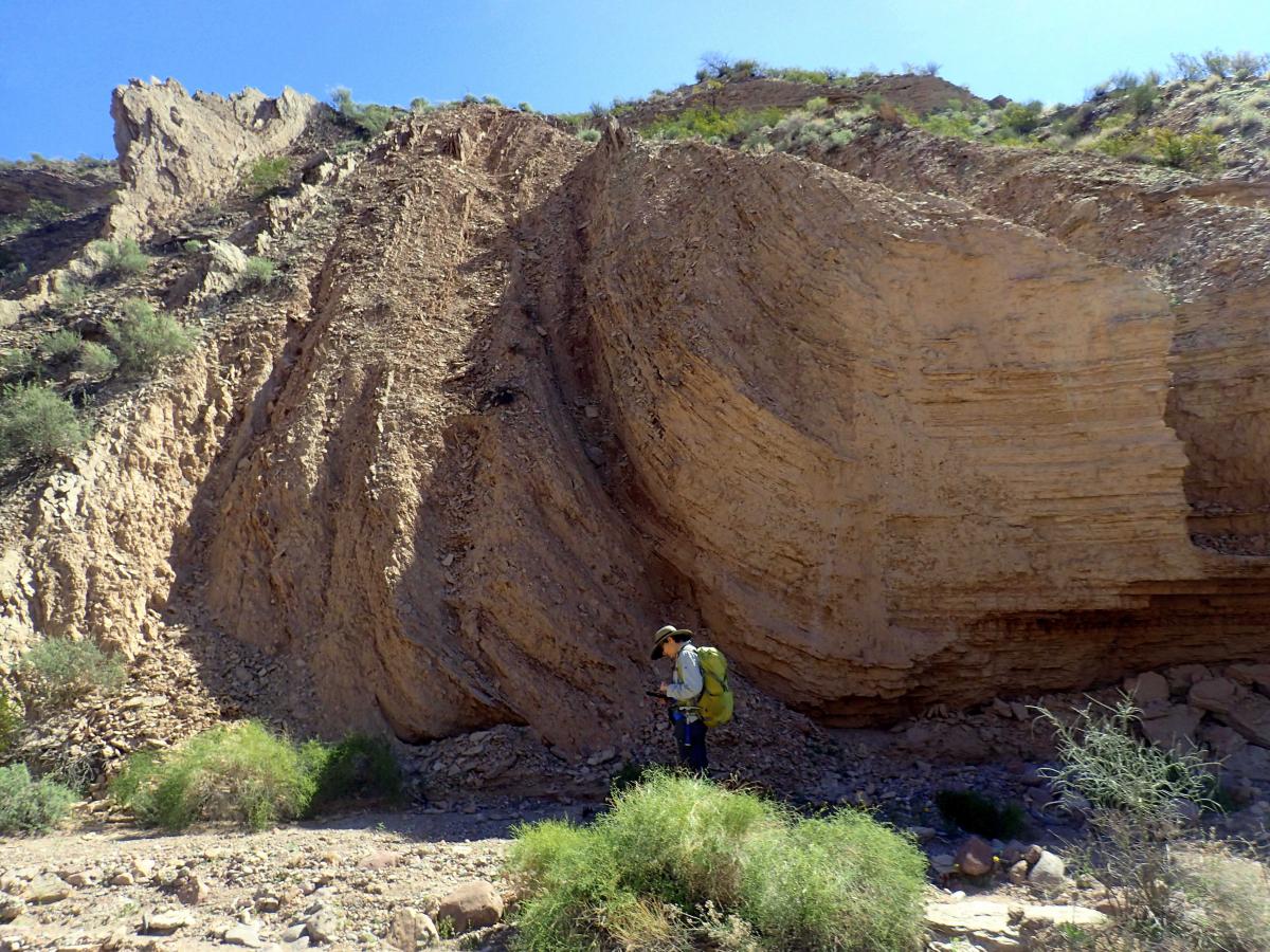 Drag fold in Safford Basin deposits | Arizona Geological Survey - AZGS
