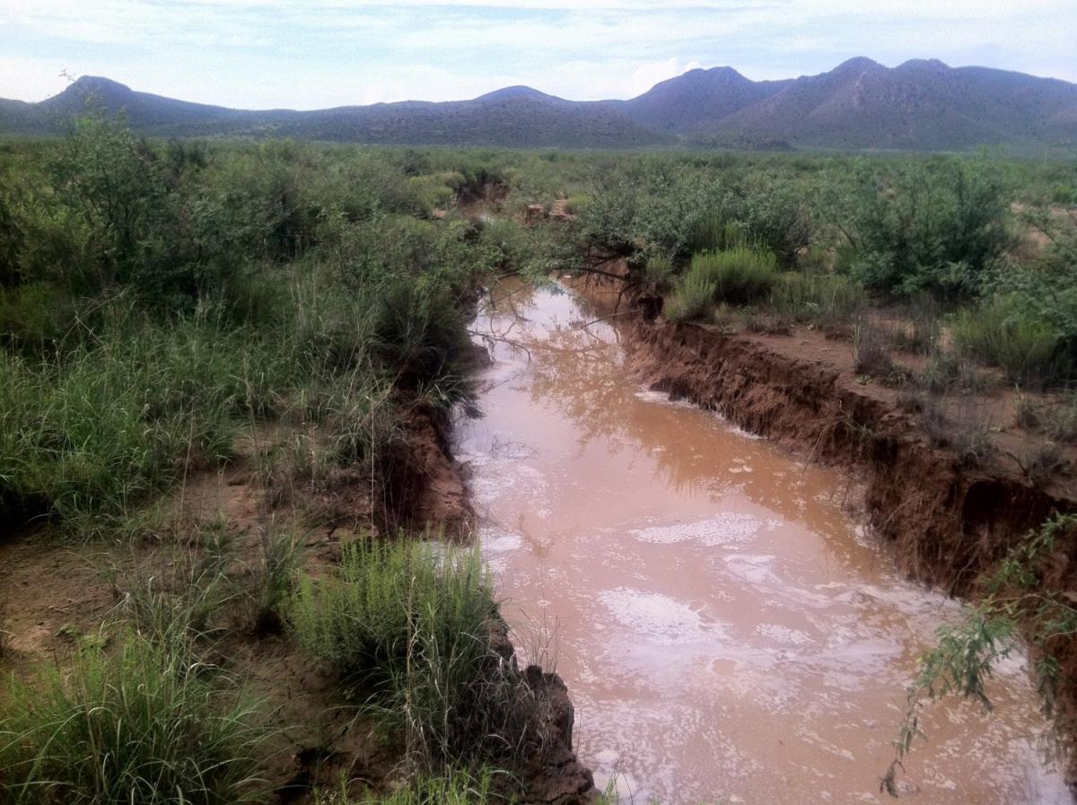 Earth fissure flooded by monsoon rain | Arizona Geological Survey - AZGS