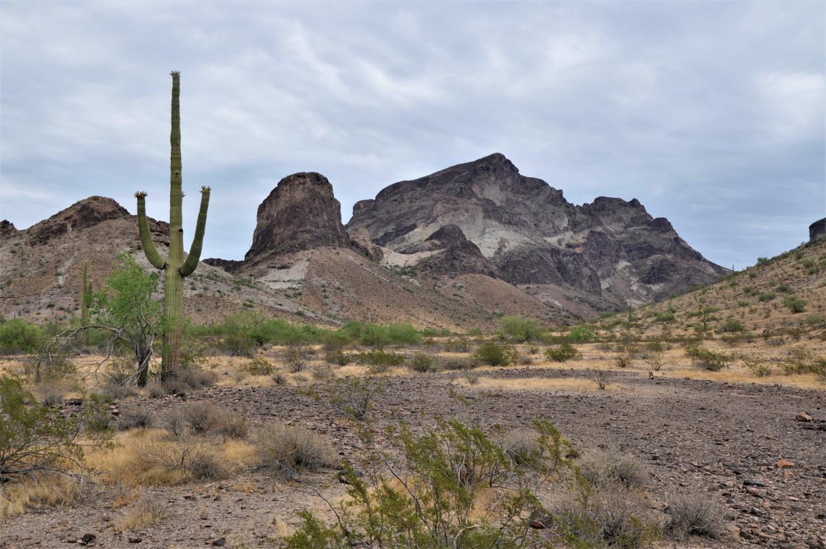 Saddle Mountain of west-central Arizona | Arizona Geological Survey - AZGS